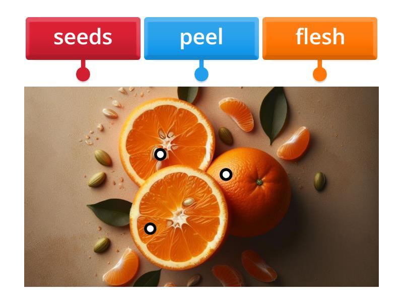 Parts of fruit - Labelled diagram