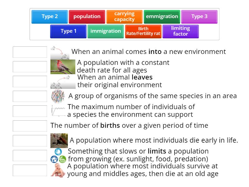 Population vocab - Match up