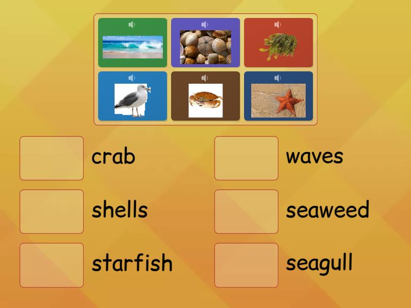 On the Beach - Match up