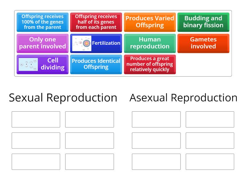 Sexual and Asexual Reproduction - Group sort