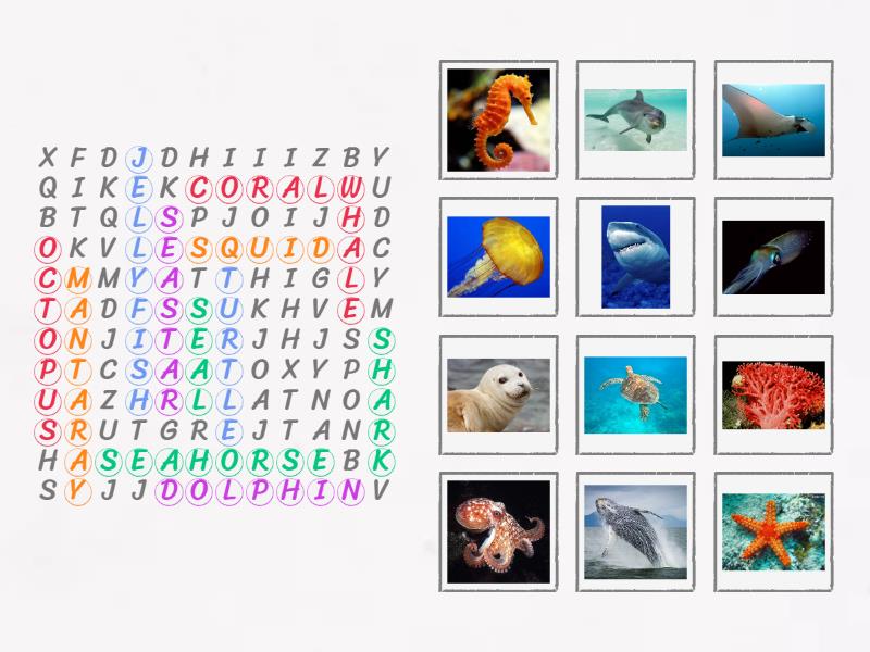 Sea animals - Wordsearch