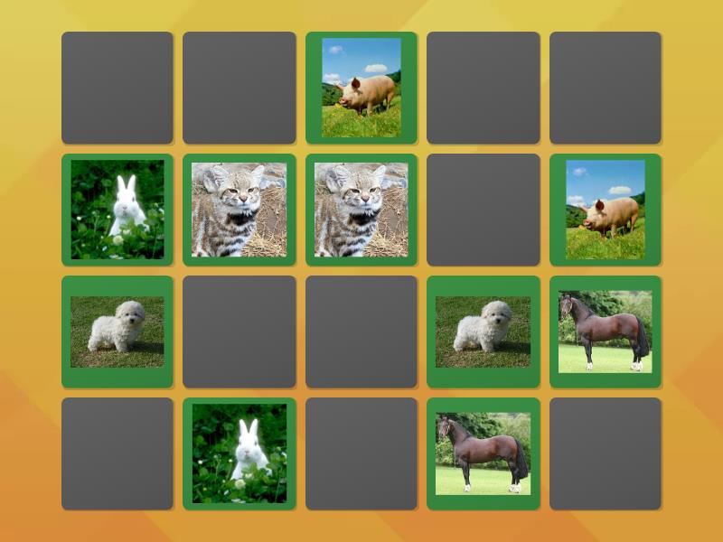 Memorice animales - Matching pairs