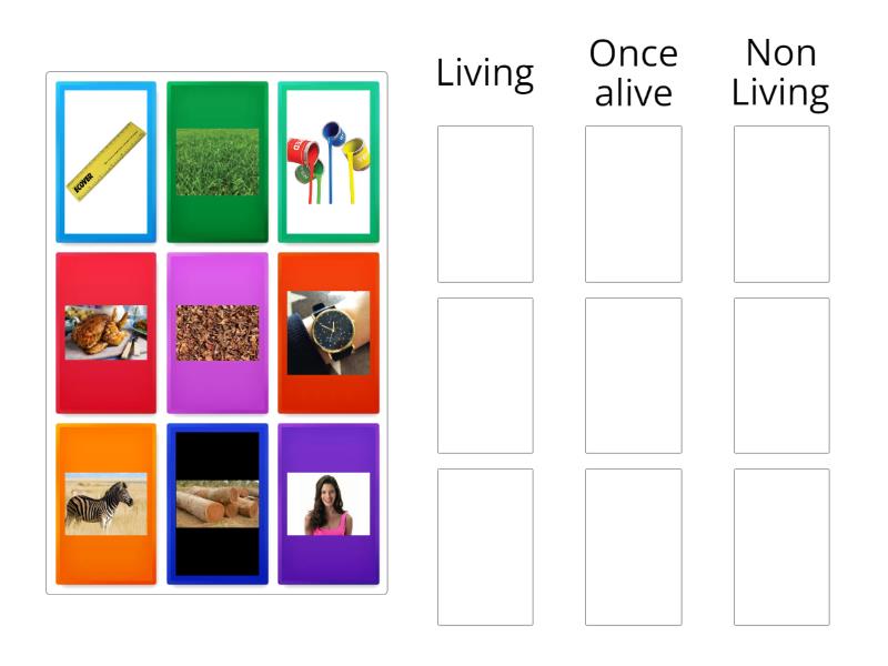 Living, non-living or once alive? - Group sort