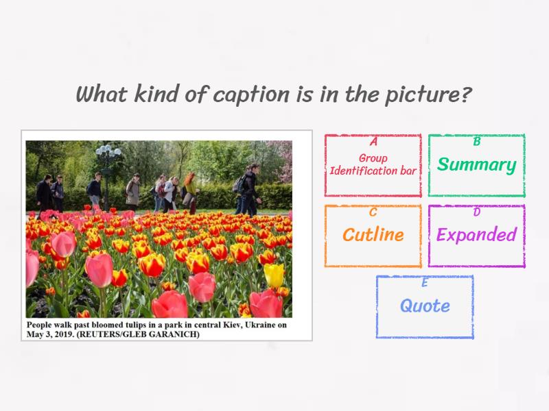 Caption - Quiz