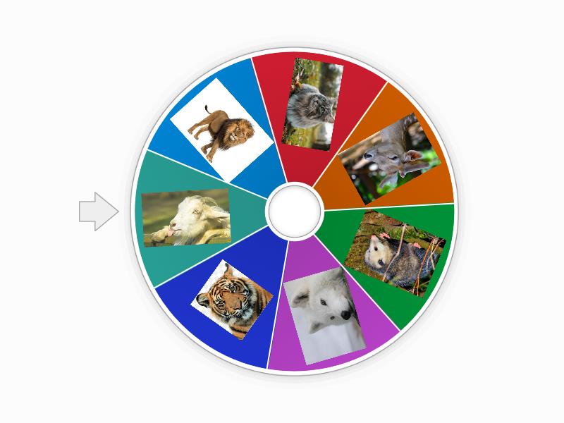 Choose Animals - Spin the wheel