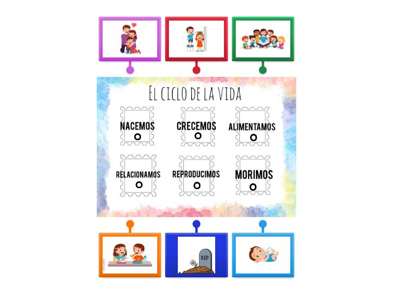 Ciclo de la vida - Labelled diagram