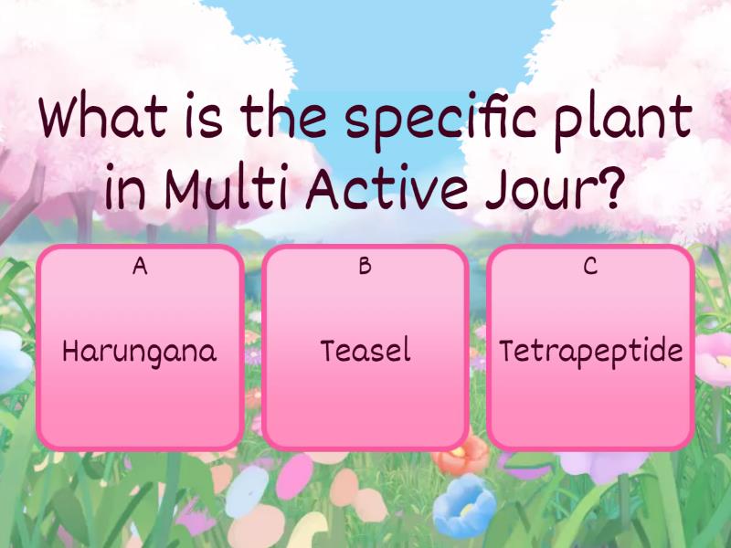 Multi Active - Quiz