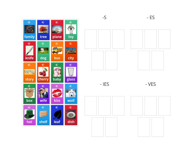 Plural nouns regular / -s / -es / -ies / -ves - Group sort