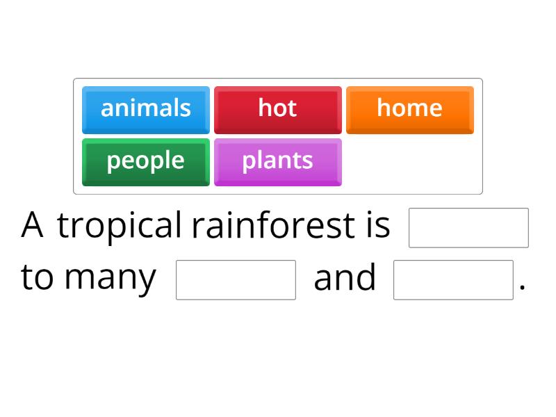 Tropical Rainforest Revision Activity - choose the correct word to fill ...