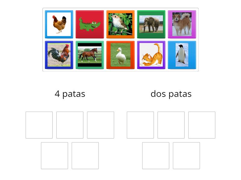 animales de 4 patas vs 2 patas - Group sort