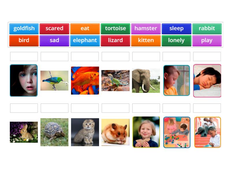 Unit 2 Oxford Discover 1 - Match up