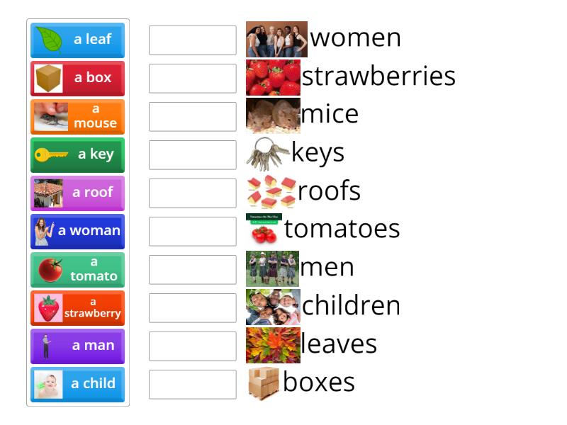 regular and irregular plurals - Match up