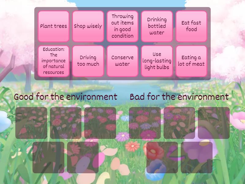 Good or bad for the environment - Group sort