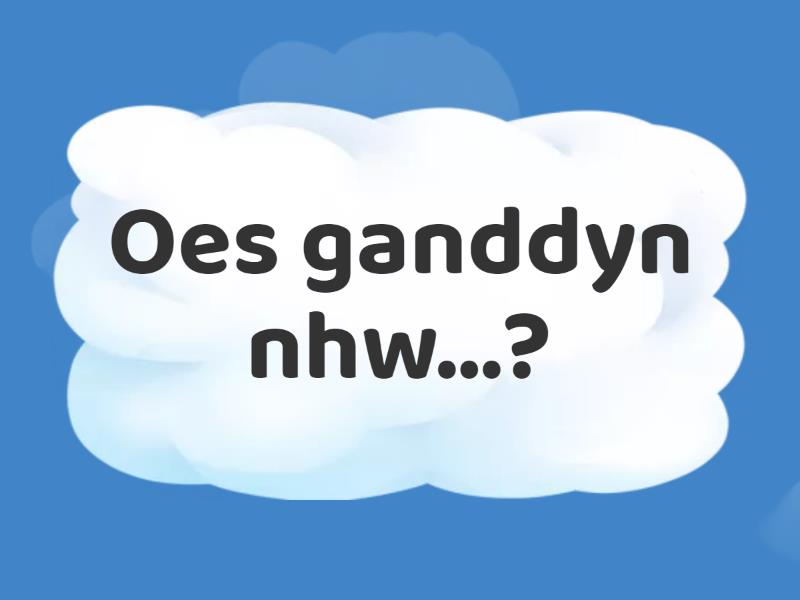Oes gen i....? - Flash cards