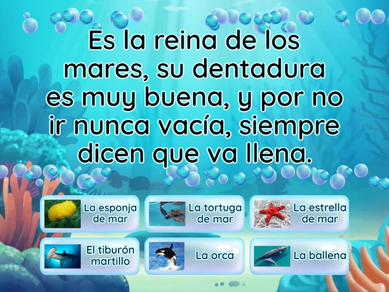 Adivina los animales marinos 2 - Find the match