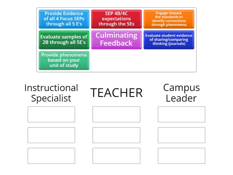 Integrating the Science and Engineering Practices in the 5E's - Group sort