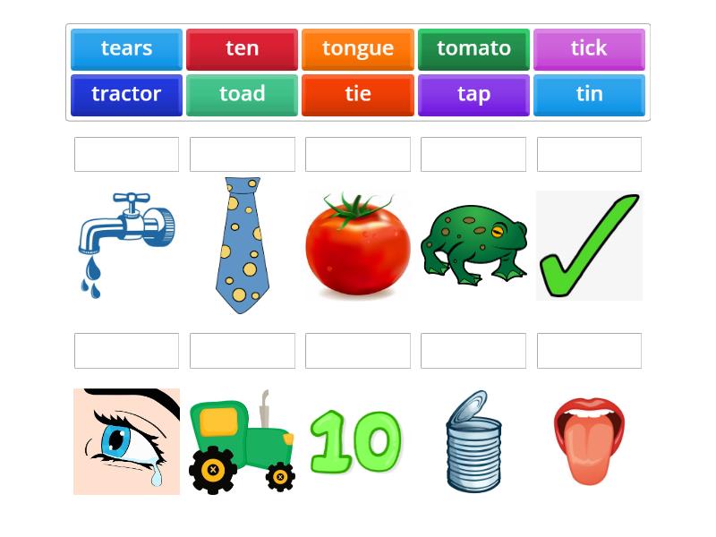 Sound t - Jolly phonics - Match up