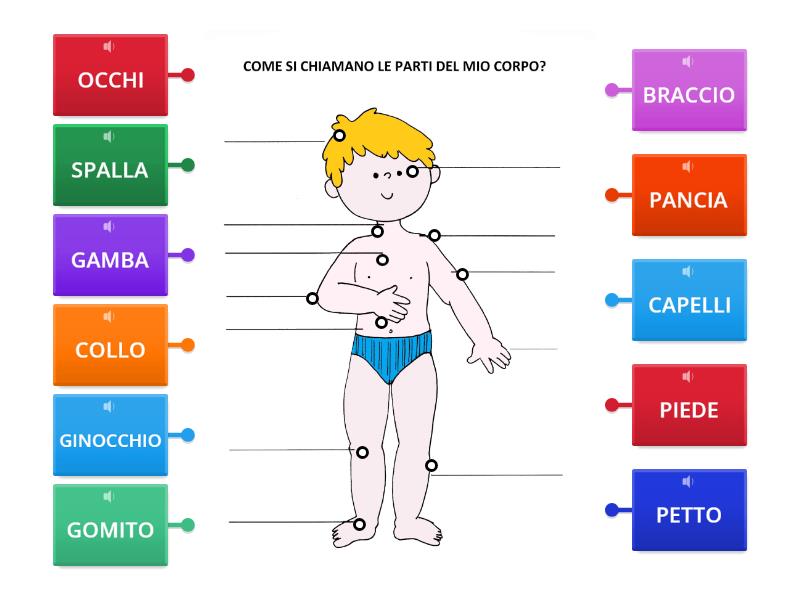 LE PARTI DEL CORPO - Labelled diagram