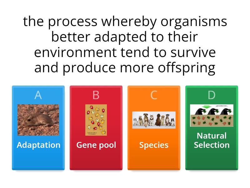 Natural Selection - Quiz