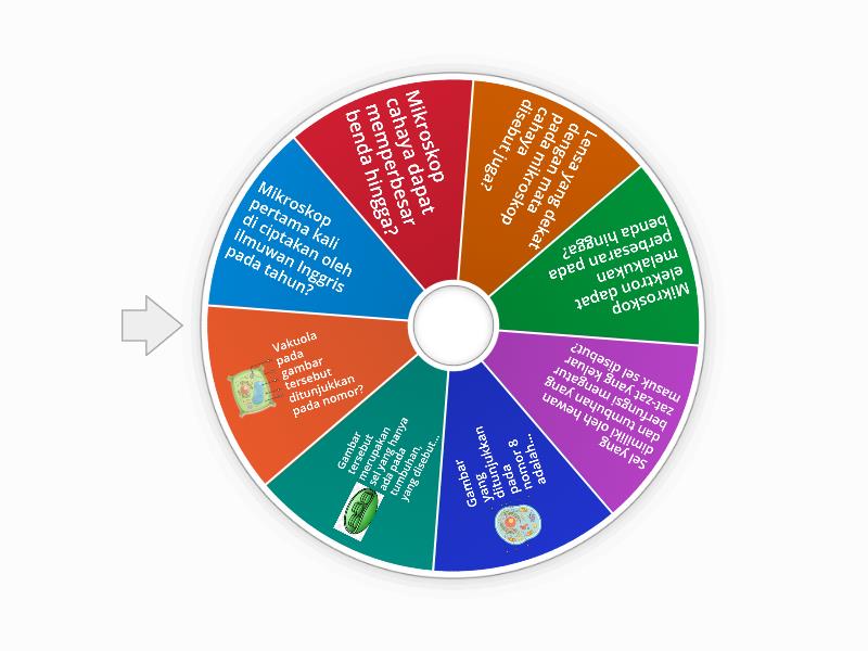 Pengenalan sel - Spin the wheel