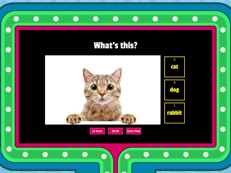 Animals ( unit 5) Team together 1 - Concurso de preguntas