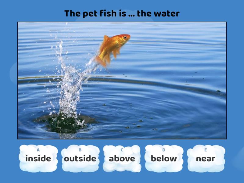 . Prepositions. inside, outside, above, below, near - Quiz