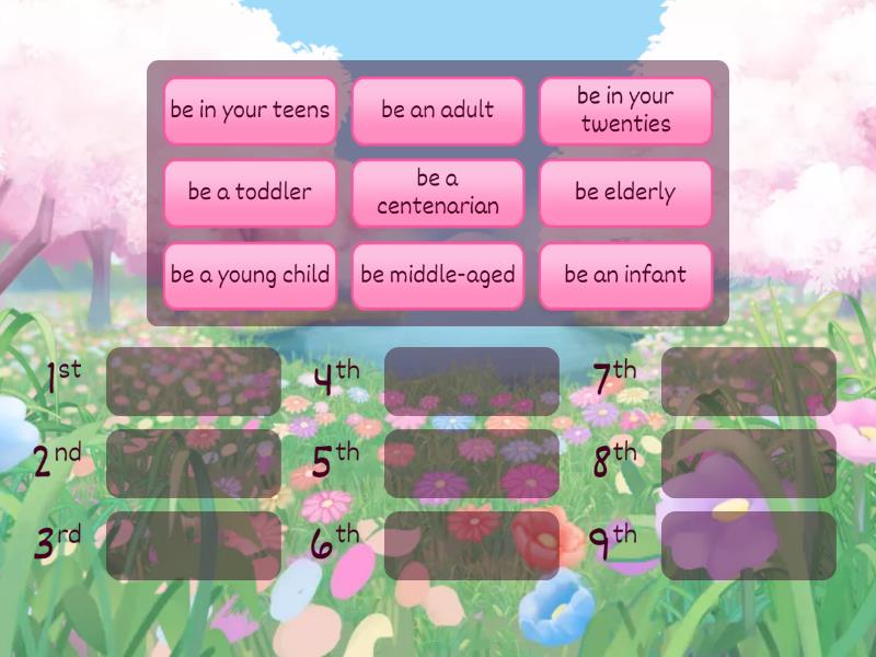 Stages of life - Rank order