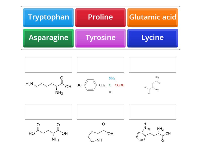 GN6002 - Biochemistry - Amino acid structures - Match up