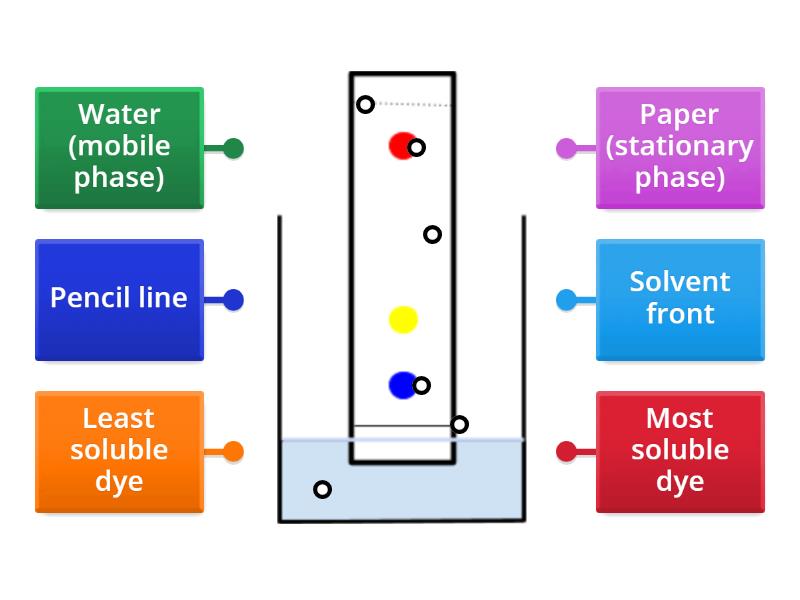 Paper Chromatography - Labelled diagram