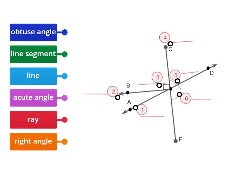 Lines & Angles: Labeled Diagram - مخطط المربعات