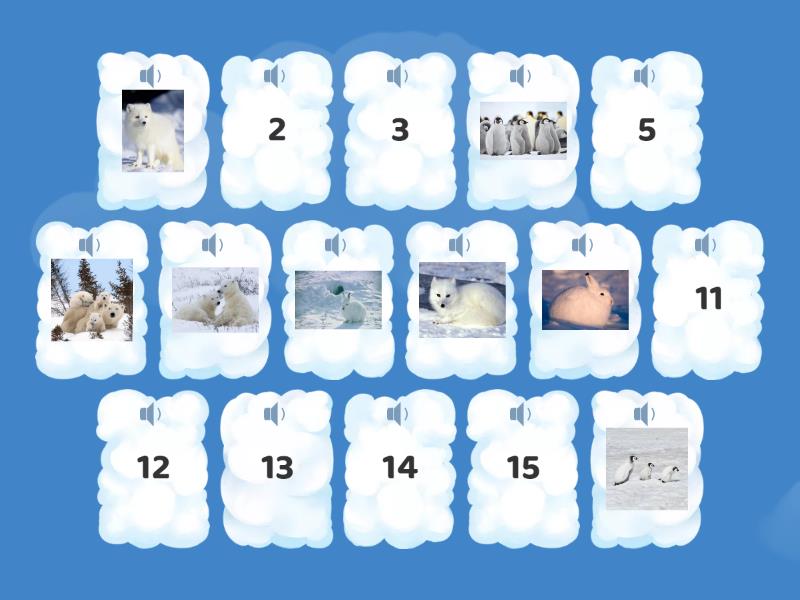 Match the Polar Animals - Matching pairs