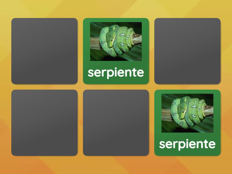 pairs - Matching pairs