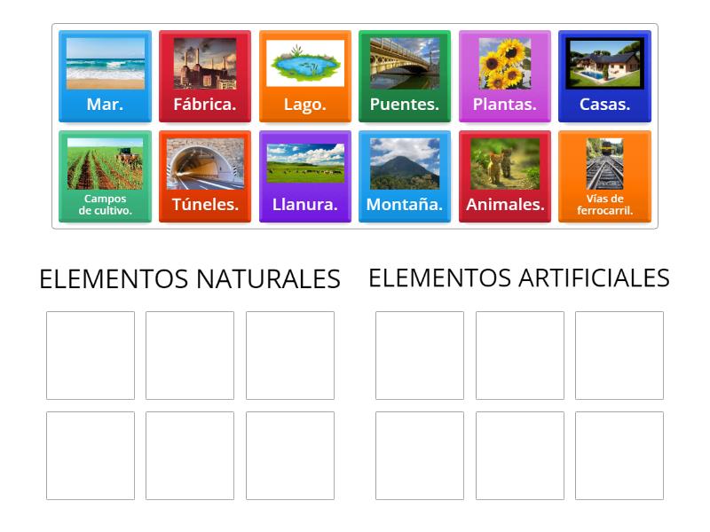 CLASIFICAR ELEMENTOS DEL PAISAJE - Group sort