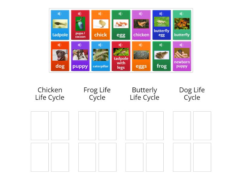 Life Cycle Sort - Ordenar por grupo