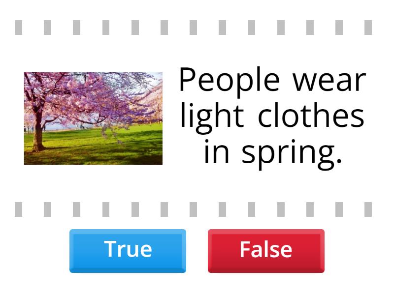 SPRING - True or false