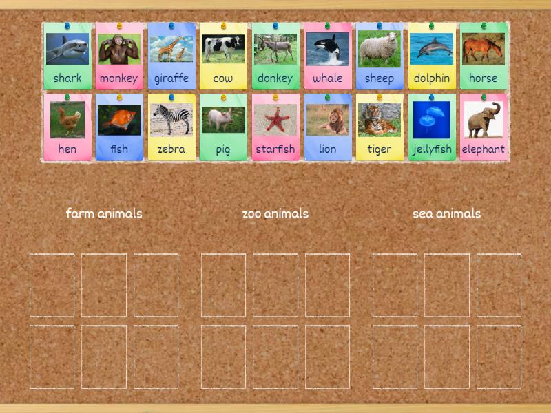 Sorting animals (farm,zoo,sea) - Ordenar por grupo