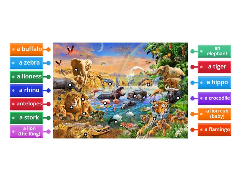 Wild animals - Labelled diagram