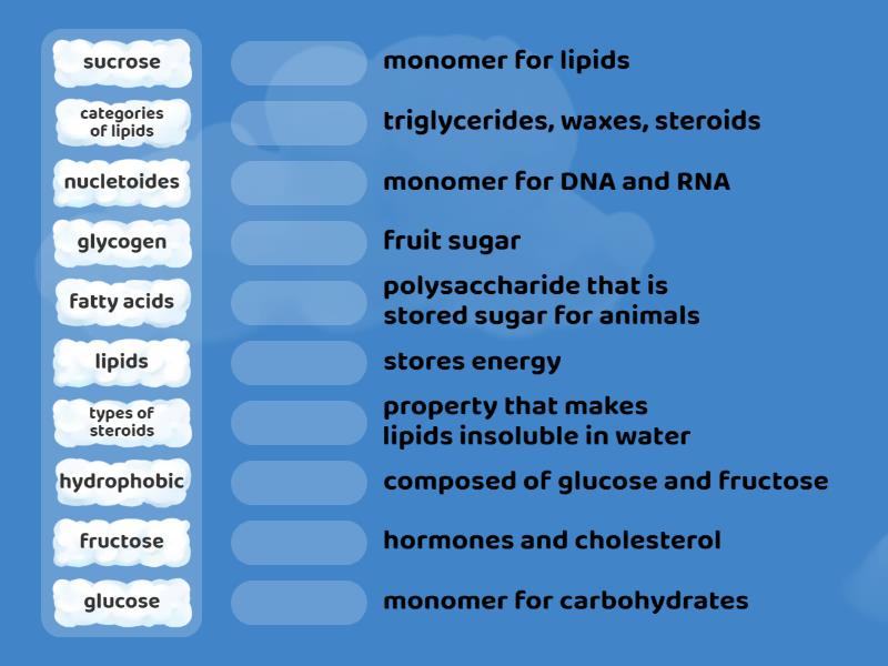 Organic Compounds Review - Match up