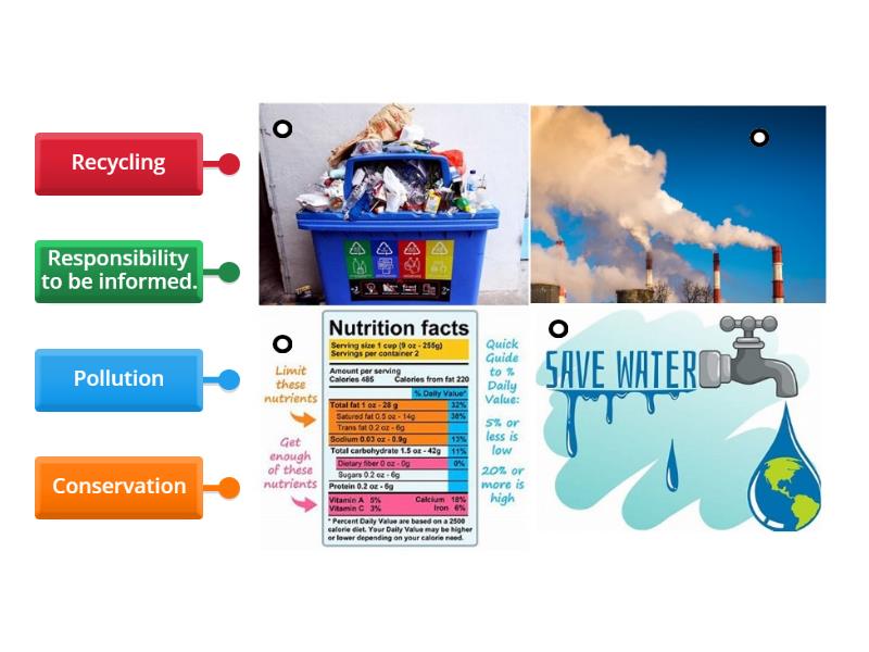 Ch 23.2 - Labelled diagram