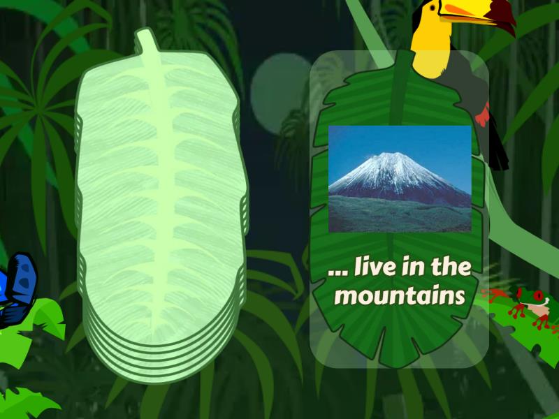 KB3 U7 Habitats - Speaking cards