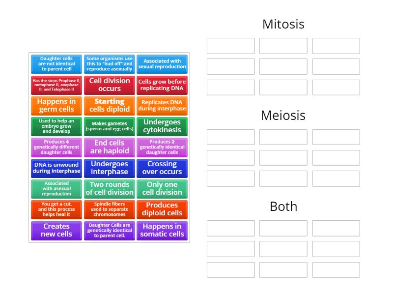 Compare and contrast mitosis and meiosis - Group sort