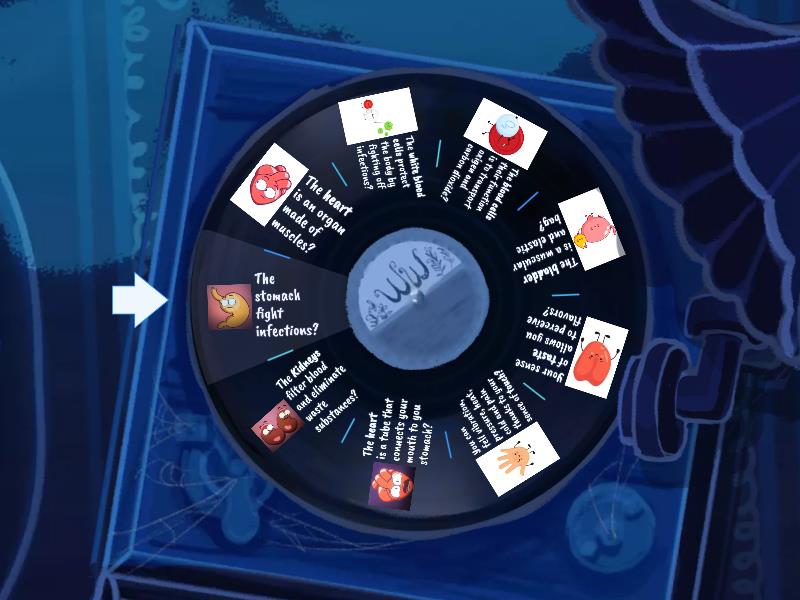 The human body - Spin the wheel