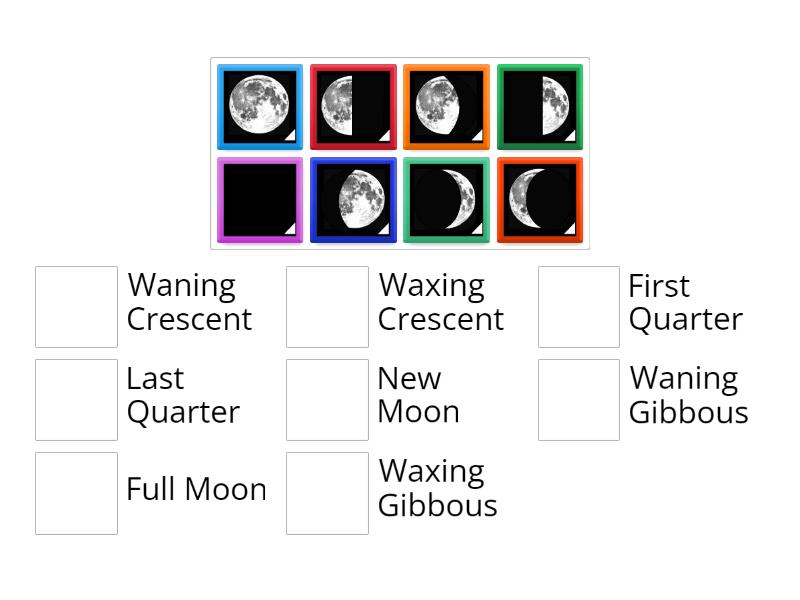 Moon Phases - Match up