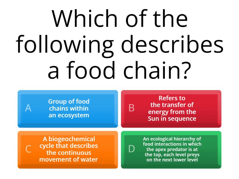 Food Chain - Quiz