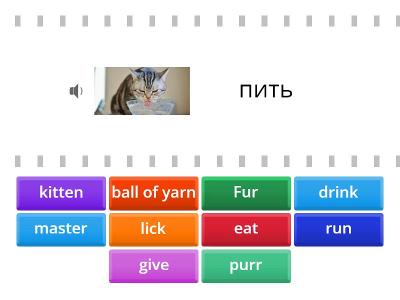 Kitten text - Find the match