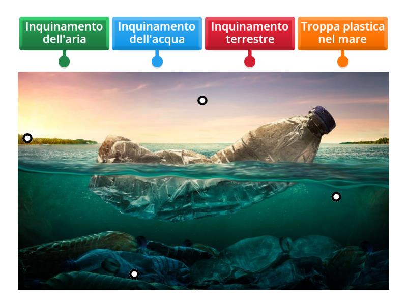 L'inquinamento - Labelled diagram