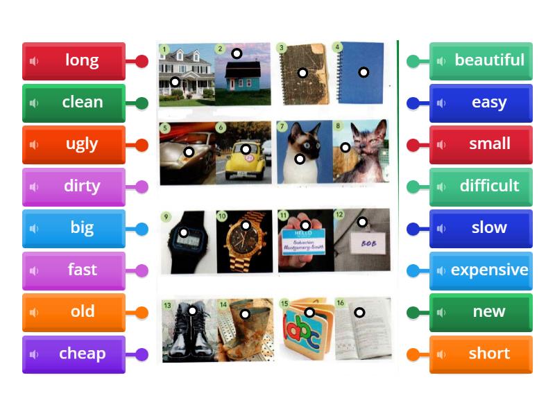 EF beginner unit 4B adjectives voc present - Labelled diagram