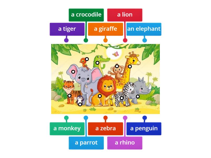 ZOO animals - Labelled diagram