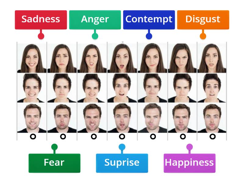 Facial Expressions - Labelled diagram