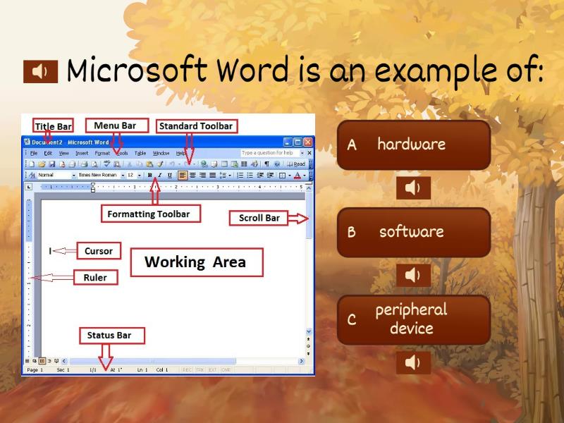 Hardware, Software or Peripheral Device - Quiz